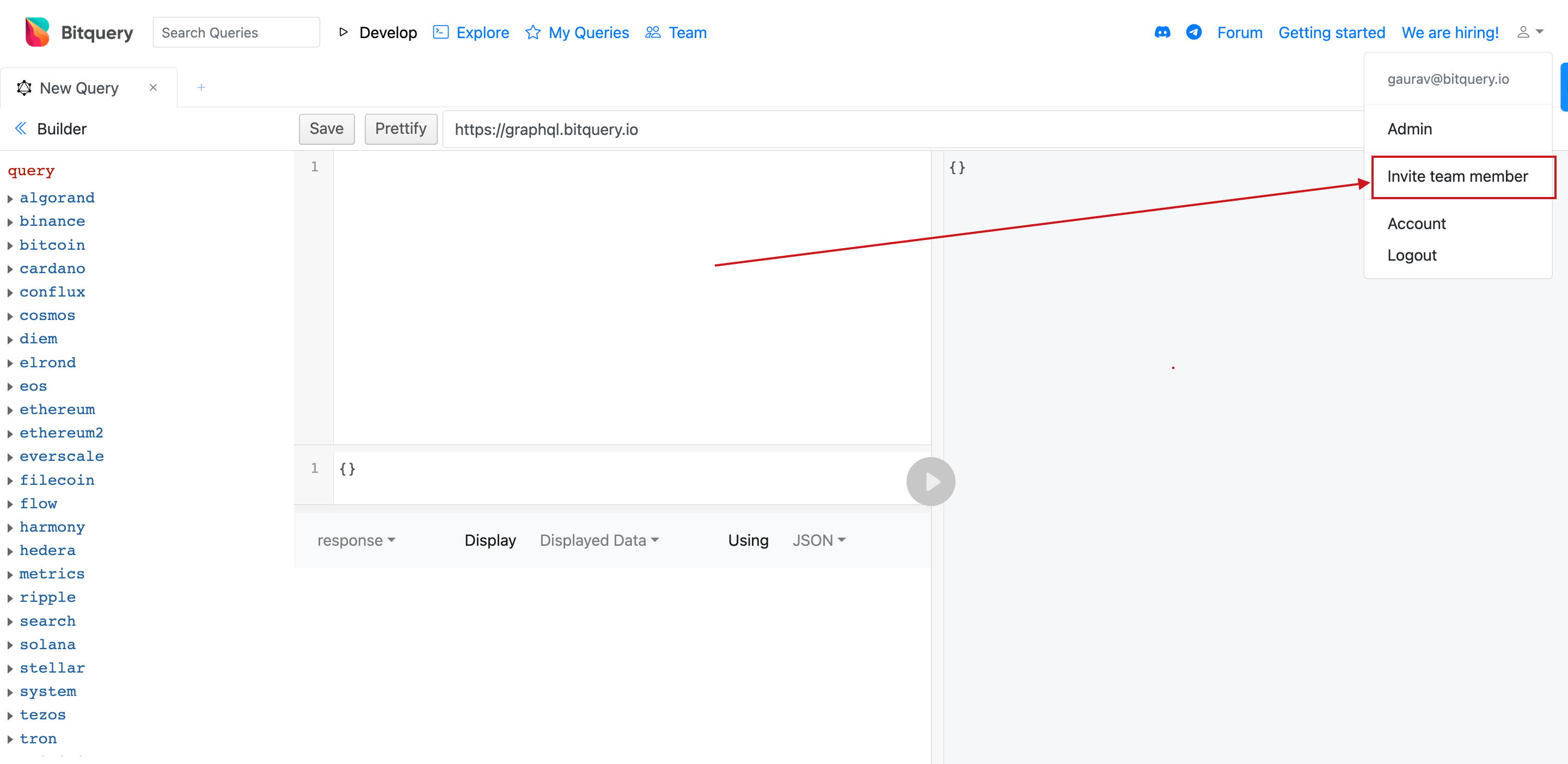Develop In Team Bitquery